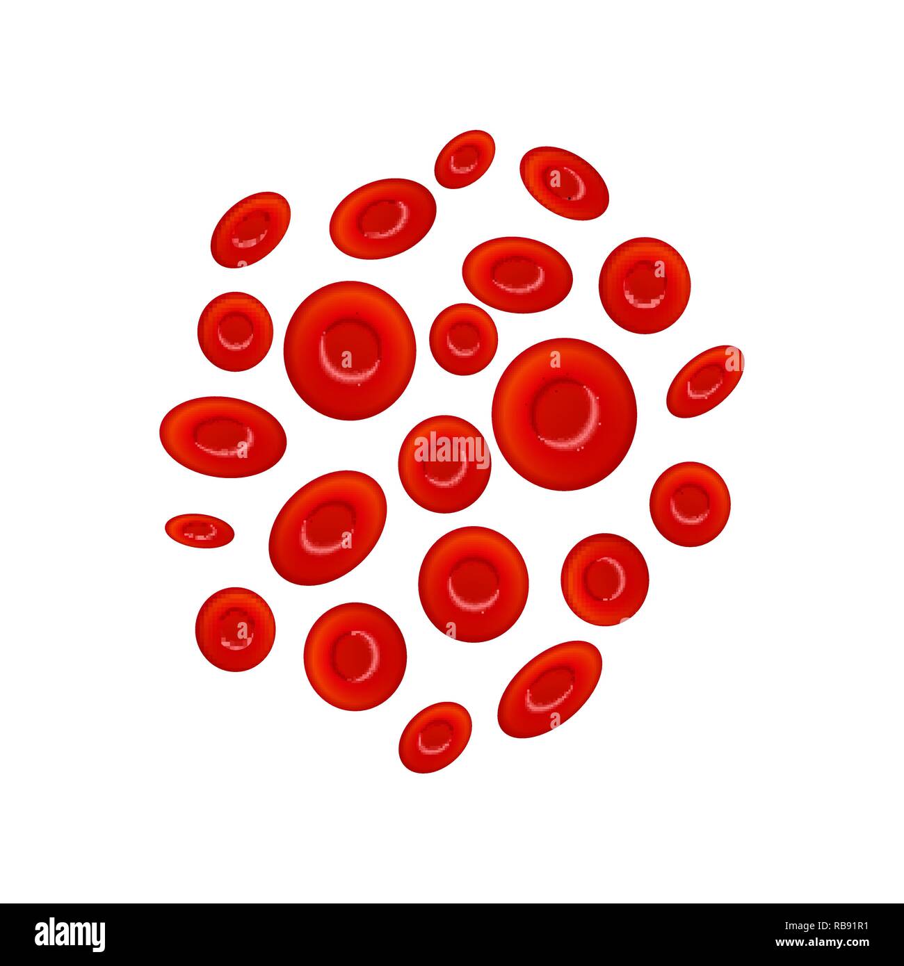 Group of different erythrocytes, red blood cells isolated on white ...