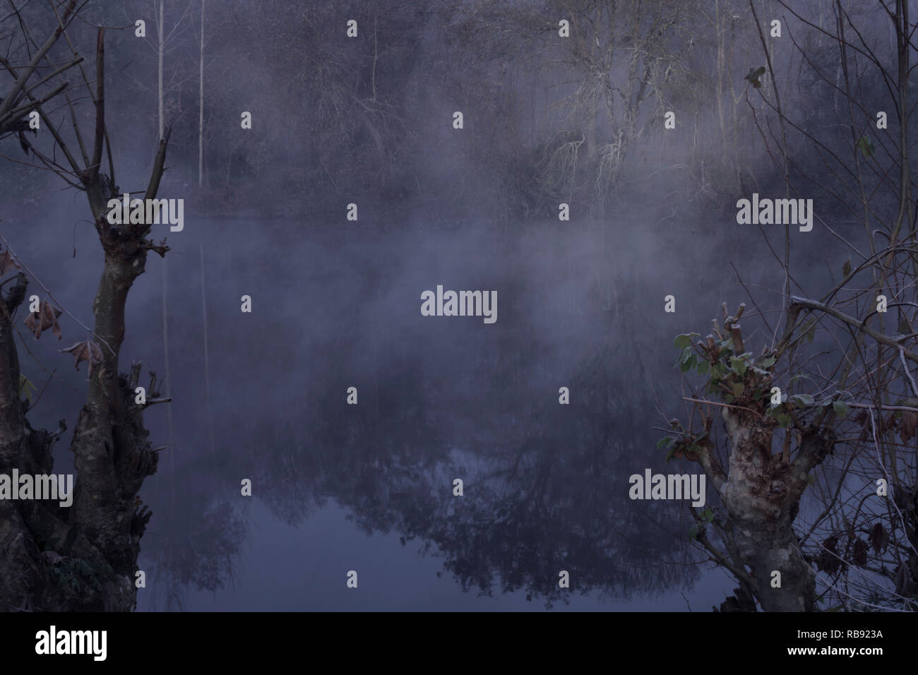Dark and foggy creepy river Stock Photo - Alamy
