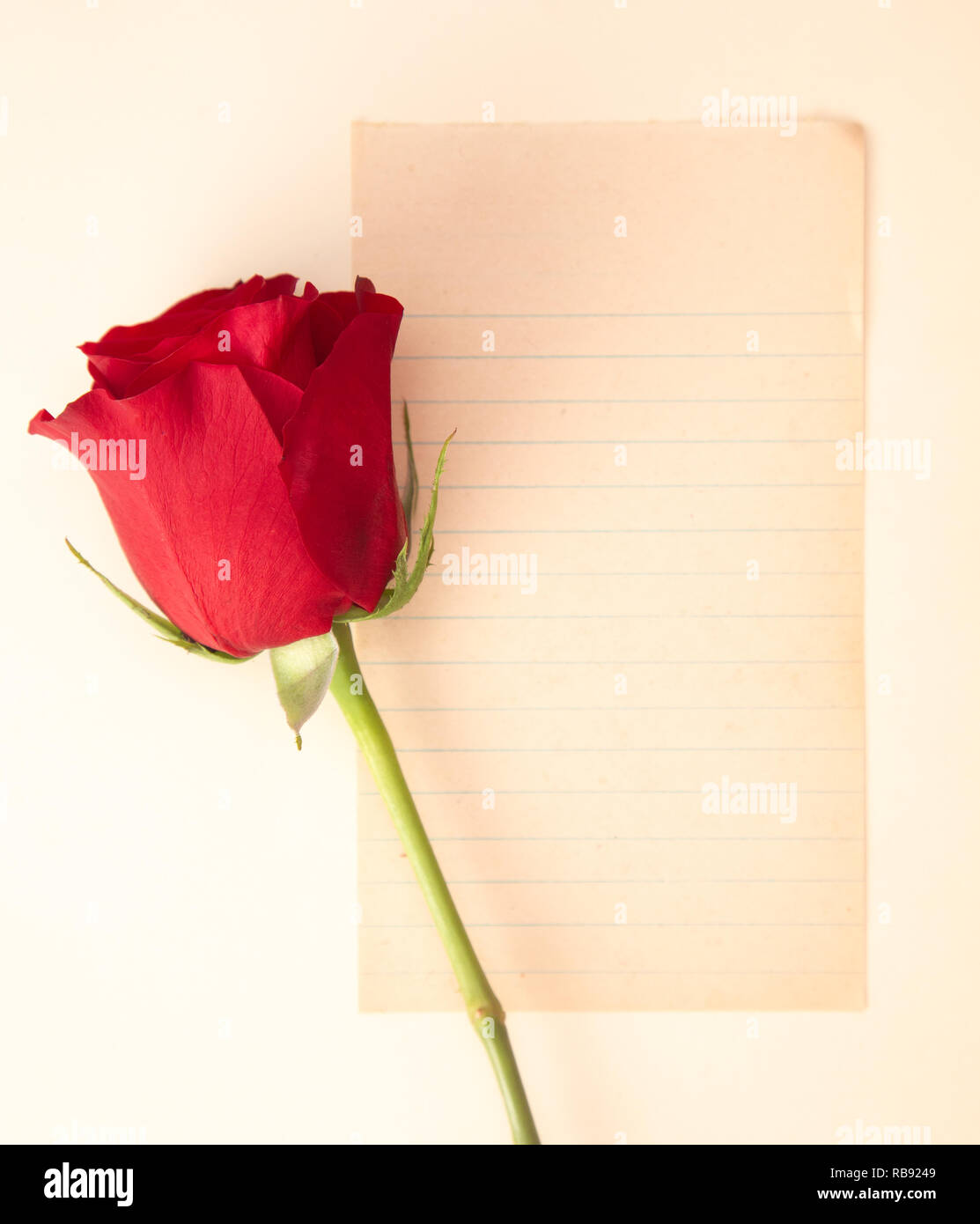 A Single Rose with a Blank Page for Writing a Love Note Stock Photo - Alamy