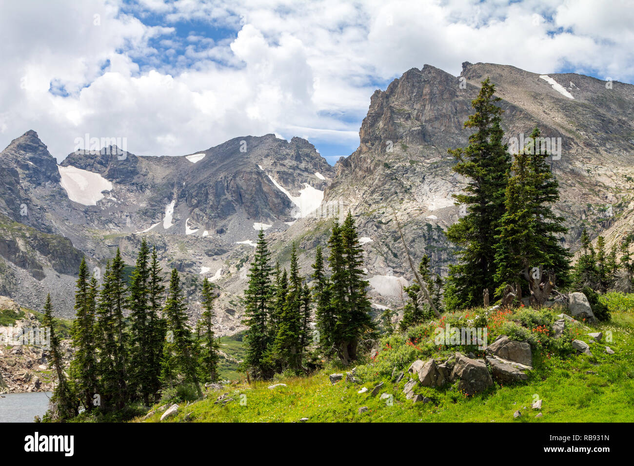 Colorado Landscape Summer