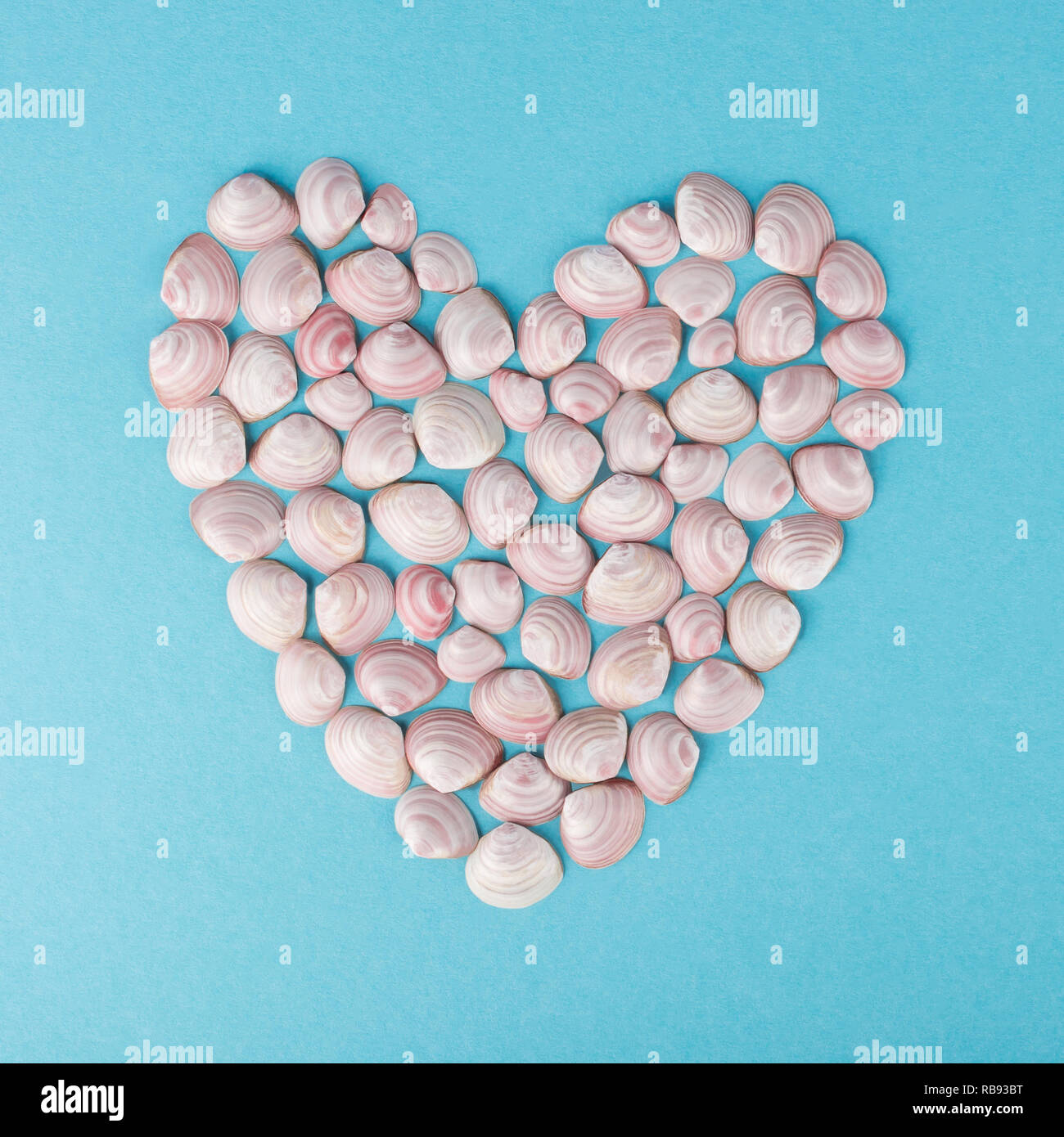 Heart shaped small pink sea shells Stock Photo - Alamy