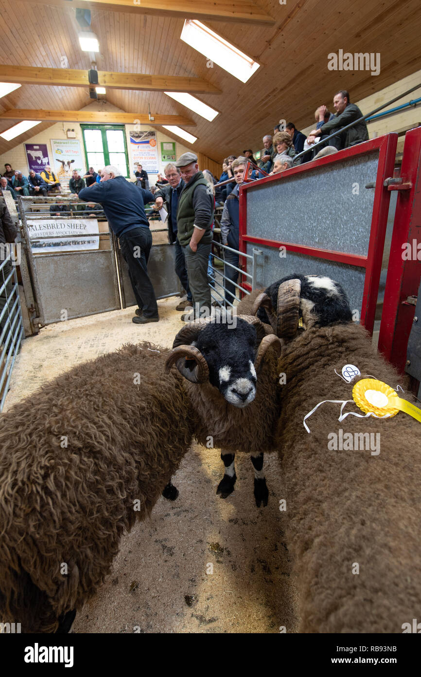 Bentham auction mart hi-res stock photography and images - Alamy