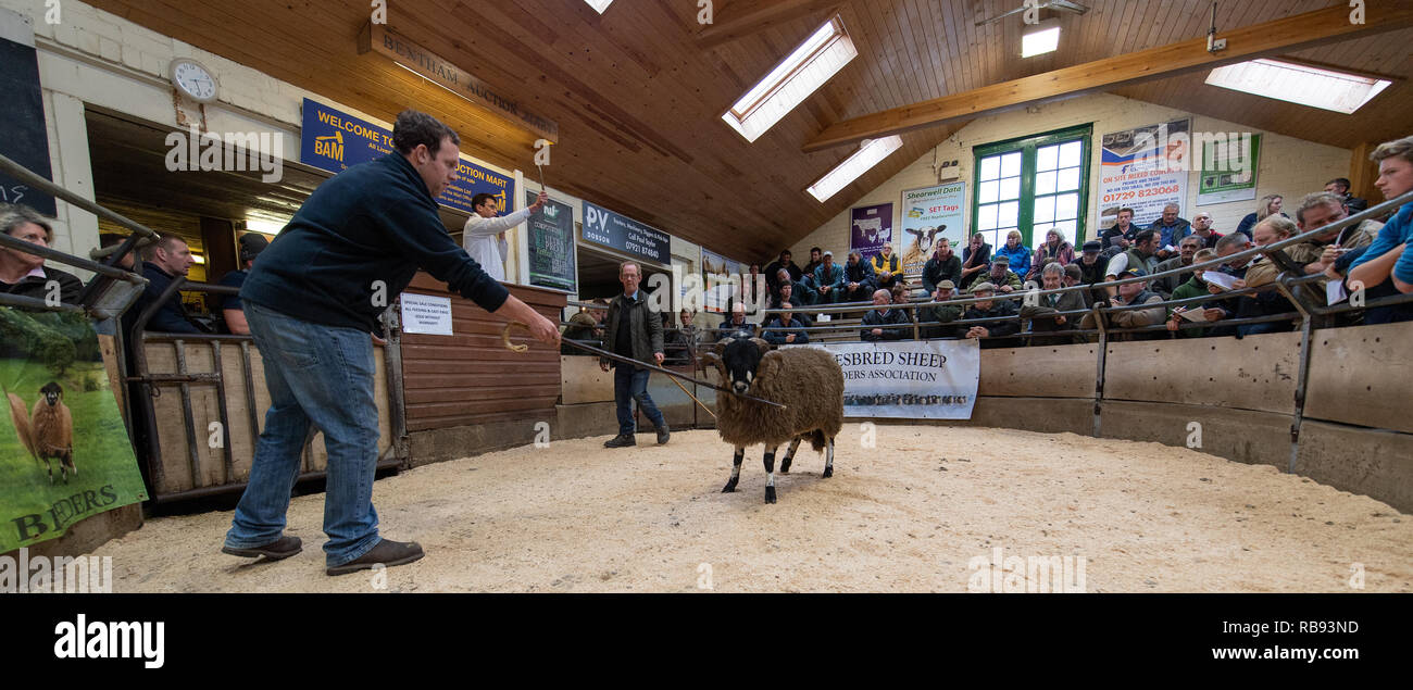 Bentham auction mart hi-res stock photography and images - Alamy