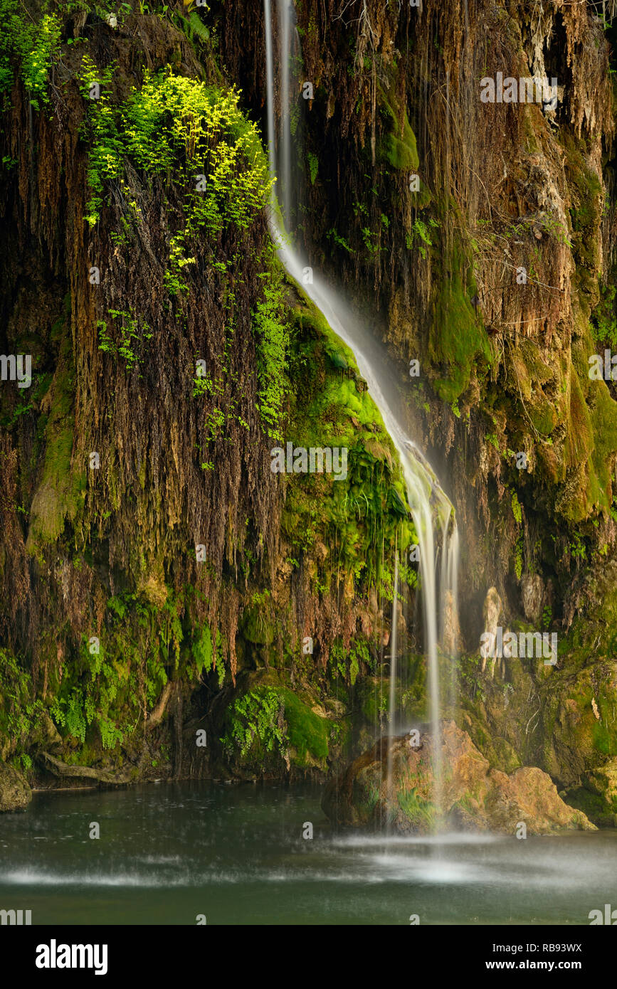 Krause Springs
