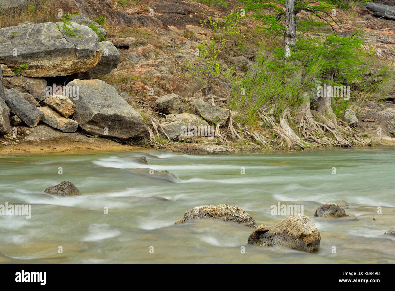 Pedernales River in spring with cypress trees, Travis County, Texas ...