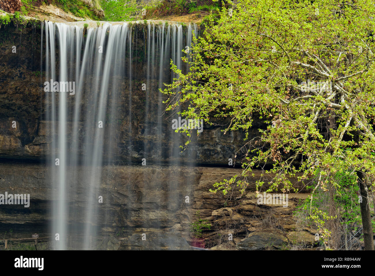 Hamilton Creek Waterfall and Hamilton Pool, Hamilton Pool Preserve ...
