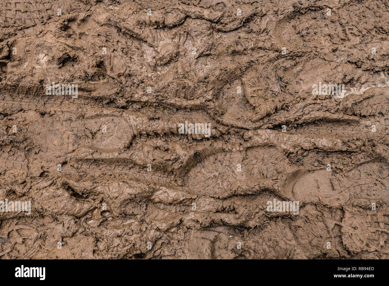 footprints in muddy path Stock Photo - Alamy