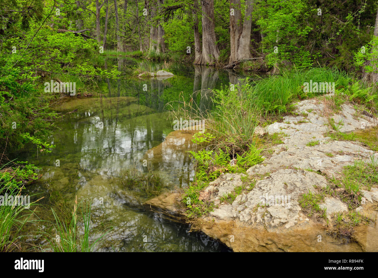 Hamilton pool preserve, texas hi-res stock photography and images - Alamy