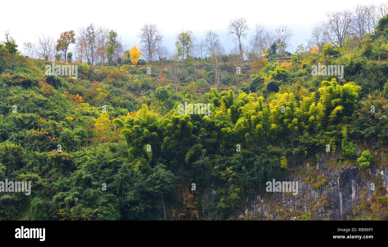 Enshi, Enshi, China. 8th Jan, 2019. Enshi, CHINA-Scenery of Qingjiang ...