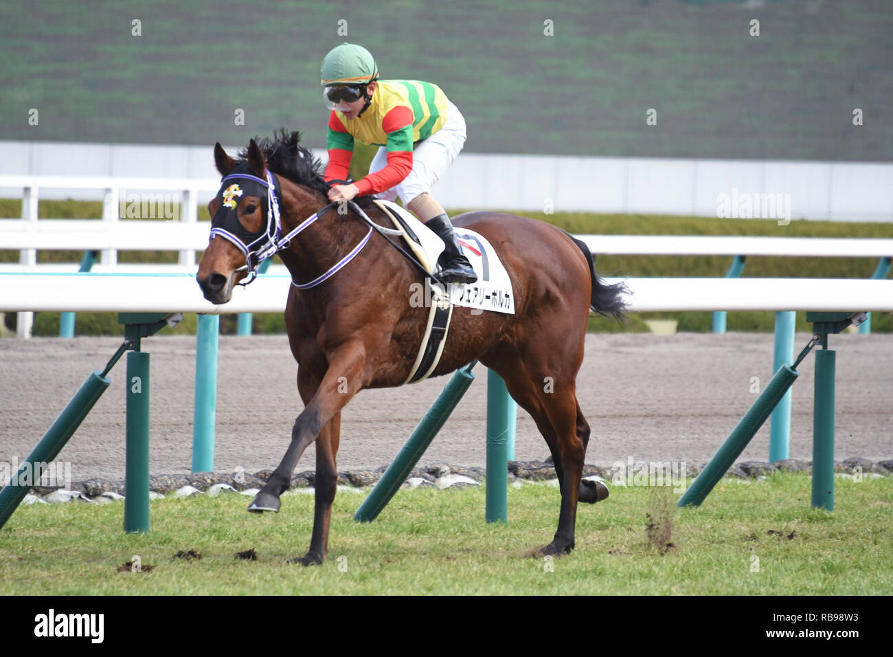 Hyogo, Japan. 28th Dec, 2018. Fairy Polka (Fuma Matsuwaka) Horse Racing ...