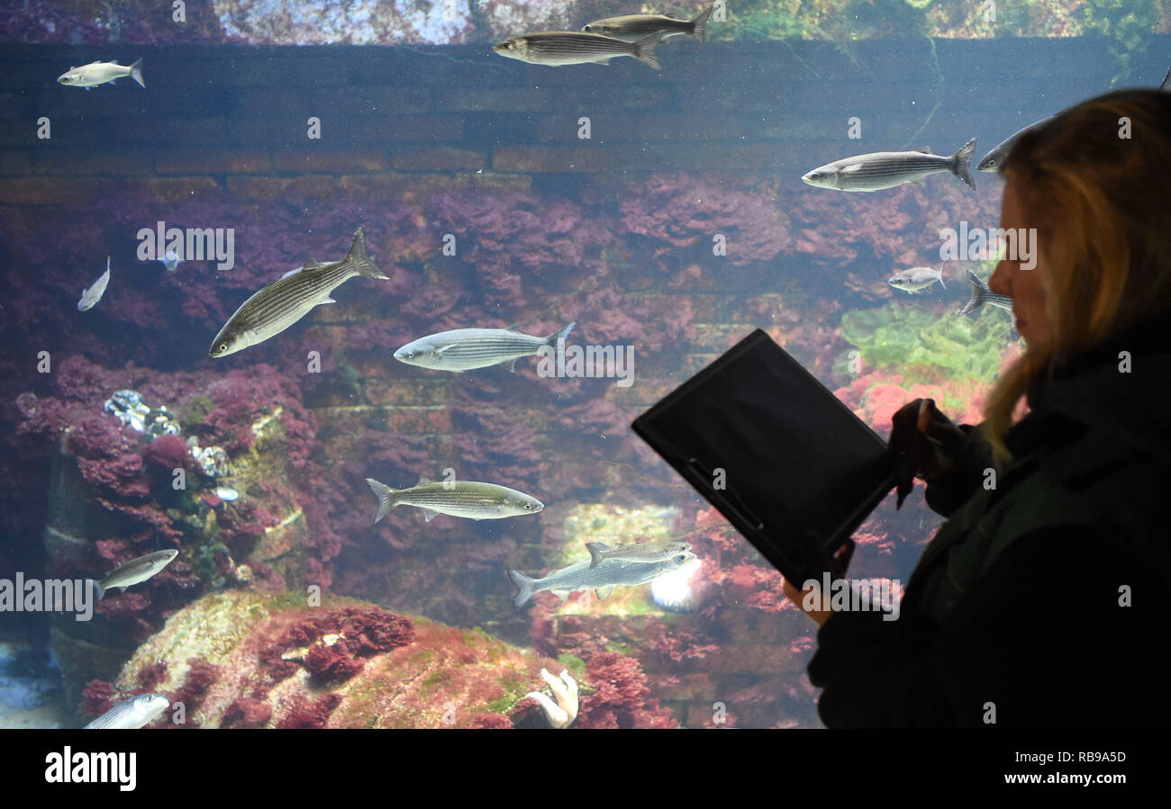 Zoo inventory hi-res stock photography and images - Alamy