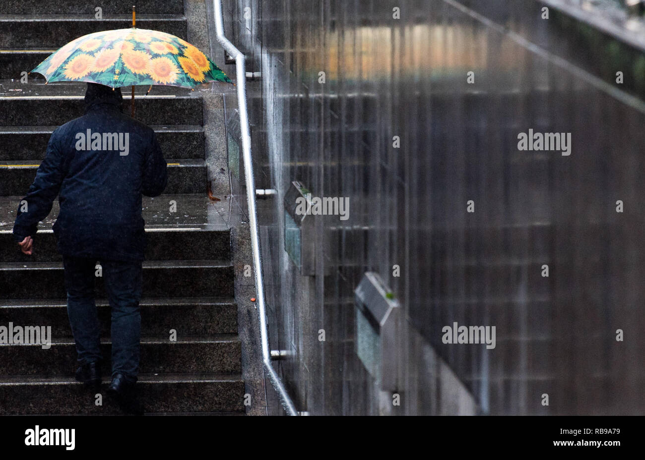 Hannover, Germany. 08th Jan, 2019. In stormy weather, a walker walks ...