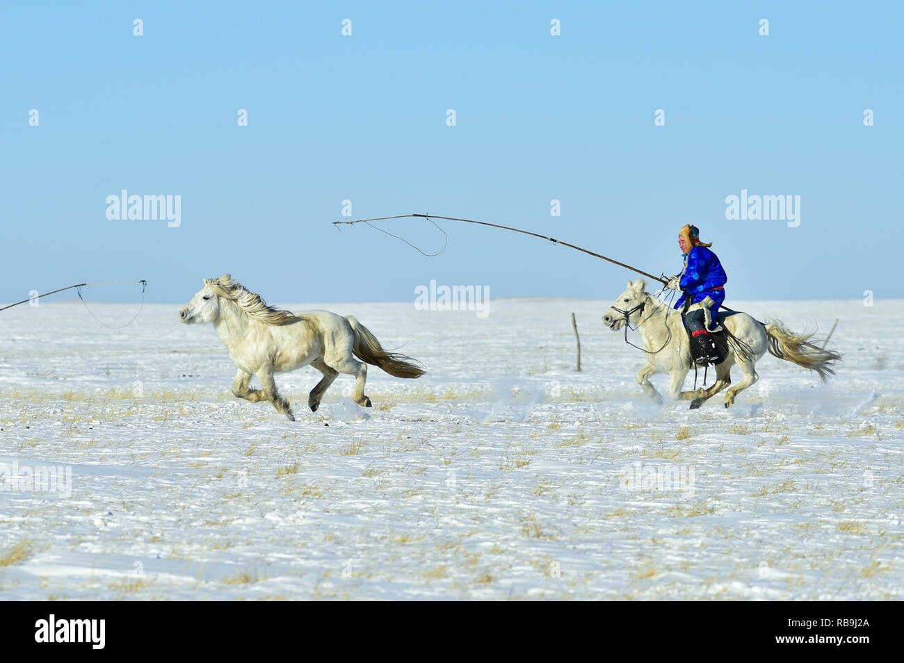 West Ujimqin, China's Inner Mongolia Autonomous Region. 8th Jan, 2019 ...