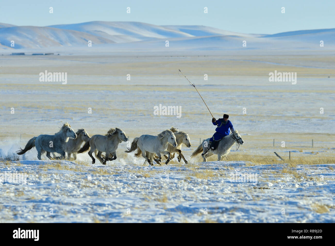 West Ujimqin, China's Inner Mongolia Autonomous Region. 8th Jan, 2019 ...