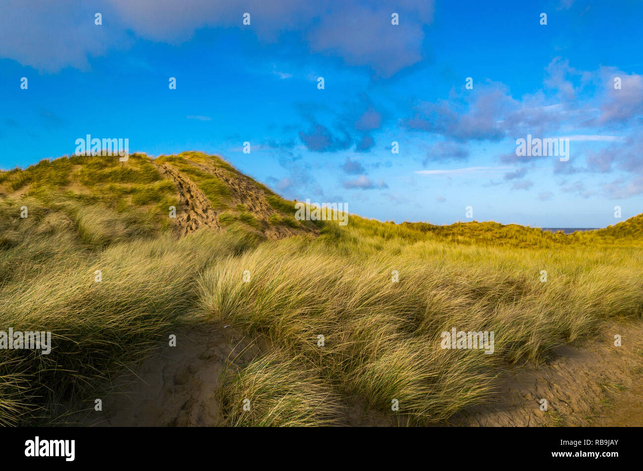 Sandy path through dunes at the north sea hi-res stock photography and ...