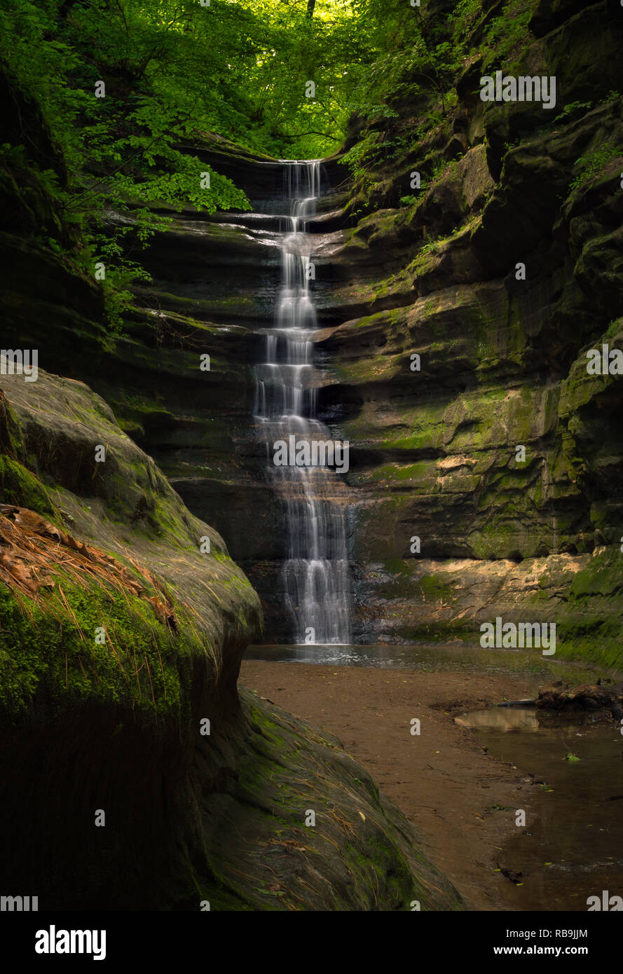 Spring morning in French Canyon. Starved Rock State Park, Illinois, USA ...