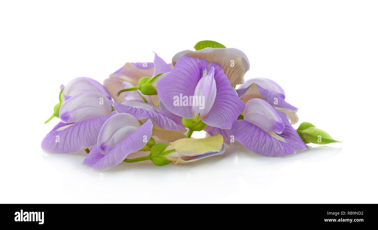 Clitoria ternatea or Aparajita flower isolated on white background ...