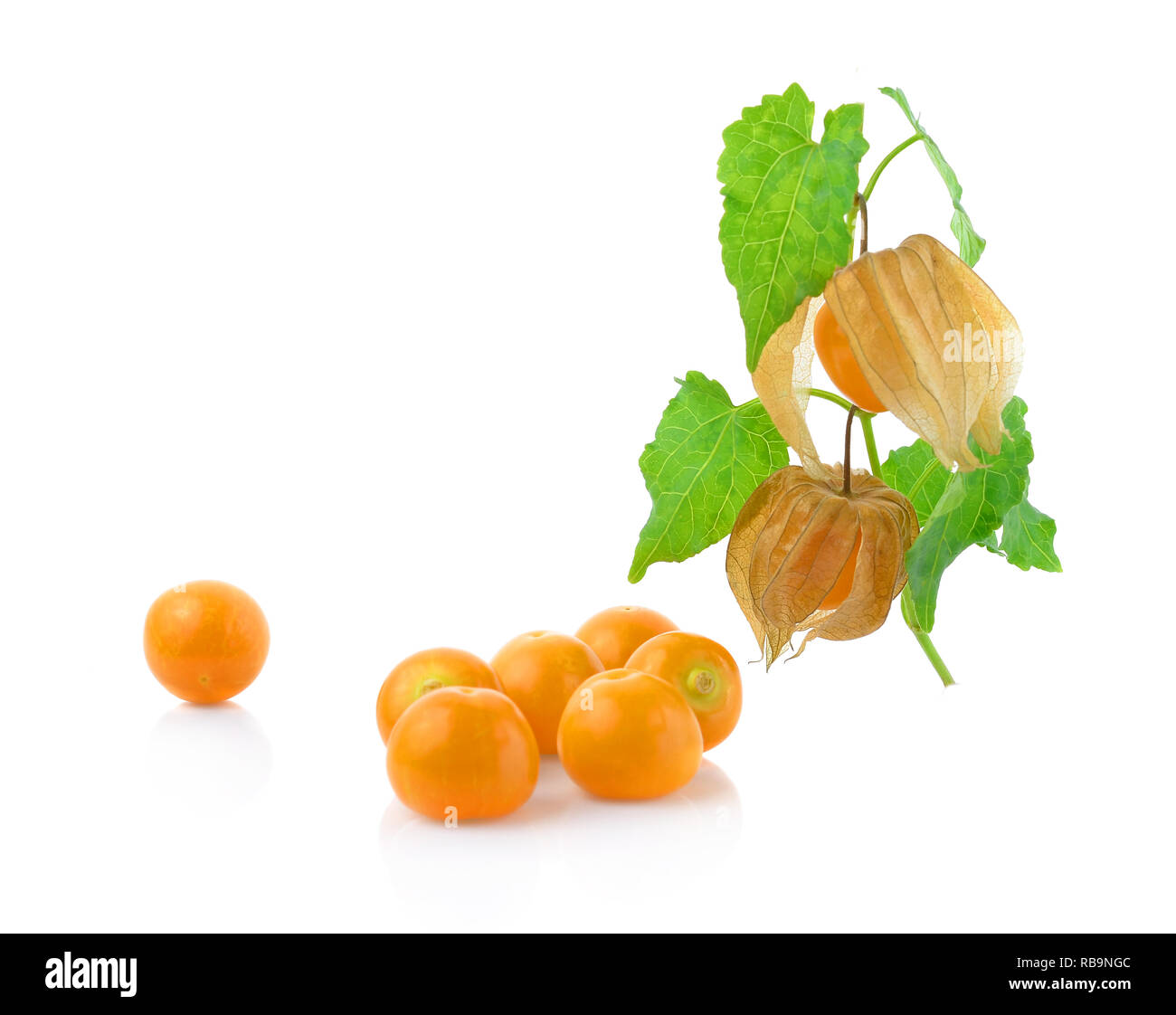 Cape gooseberry (physalis) isolated on white background Stock Photo - Alamy