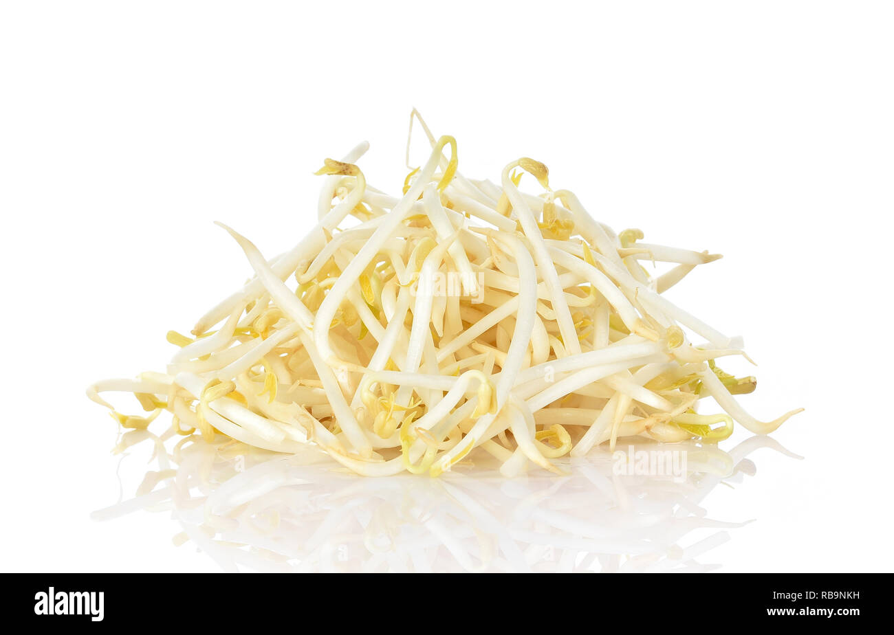 Bean Sprouts on White Background Stock Photo - Alamy