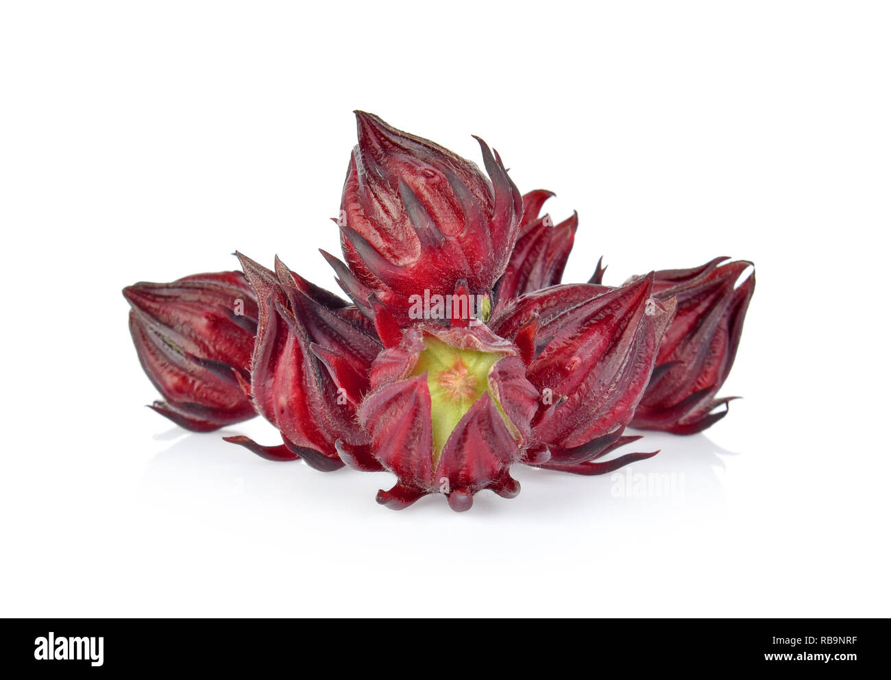 Hibiscus fruits Cut Out Stock Images & Pictures - Alamy