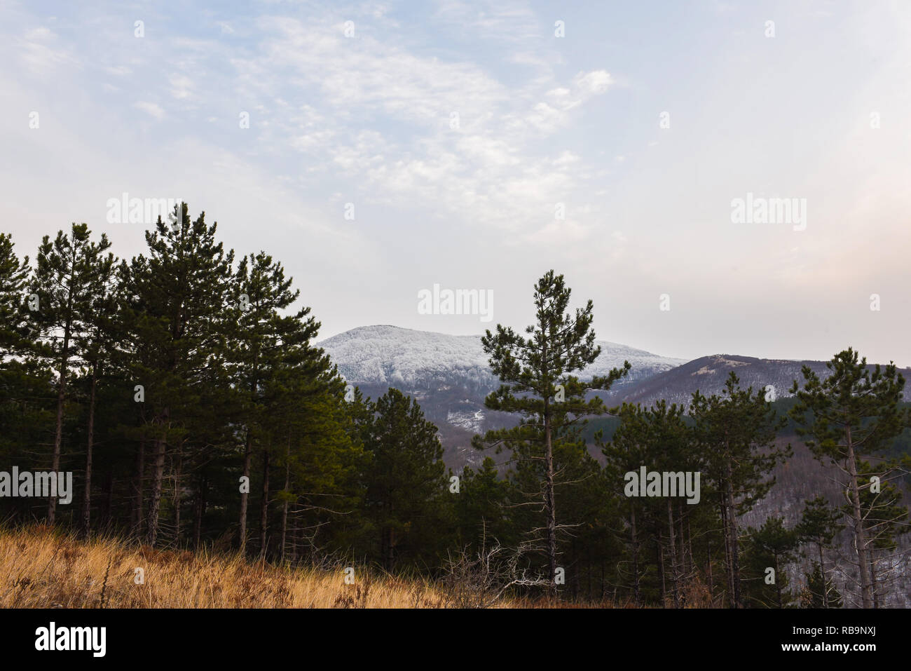 Homolje mountains hi-res stock photography and images - Alamy