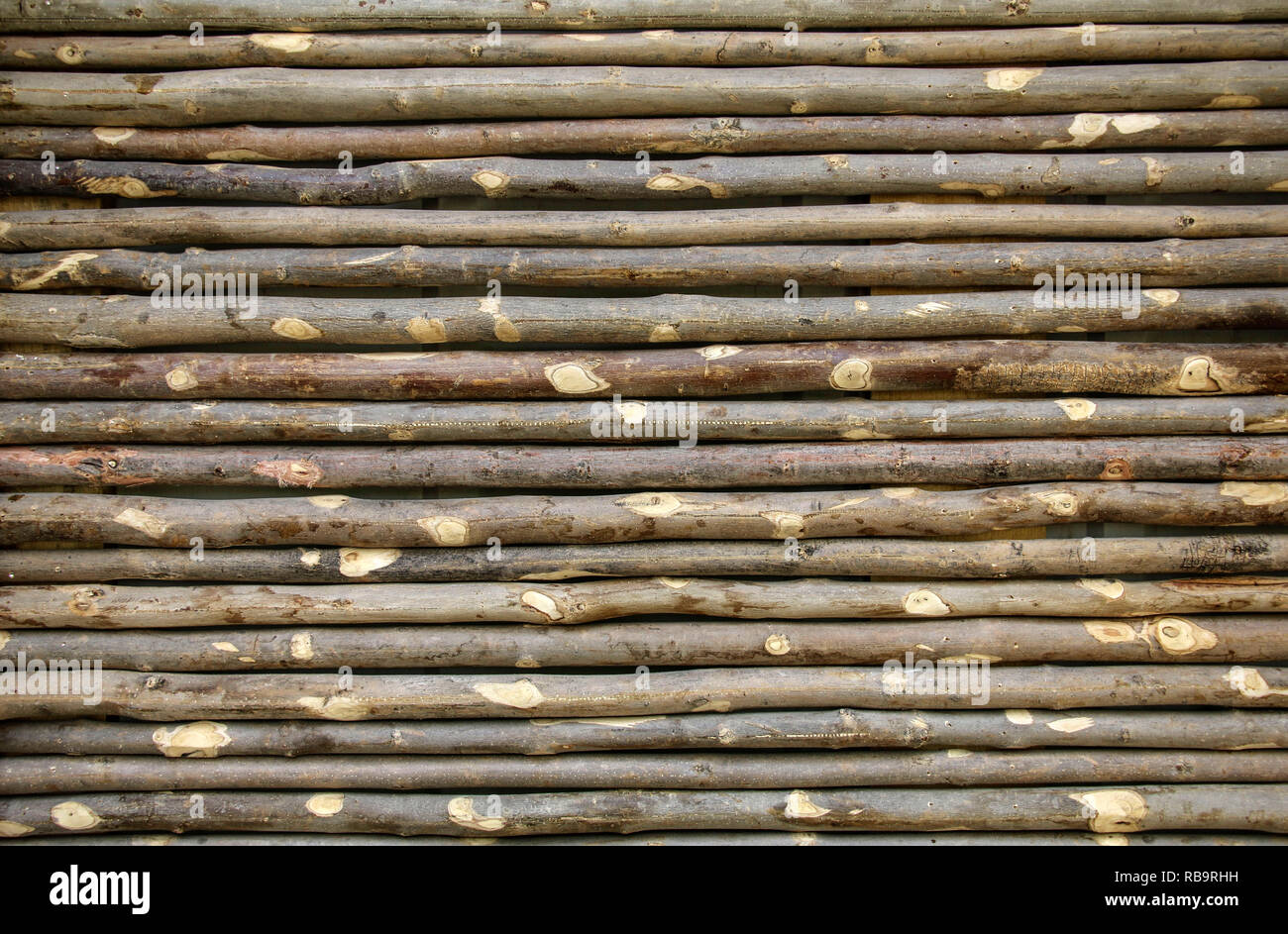 Old fence made from tree branches. Wall of twigs as background or ...