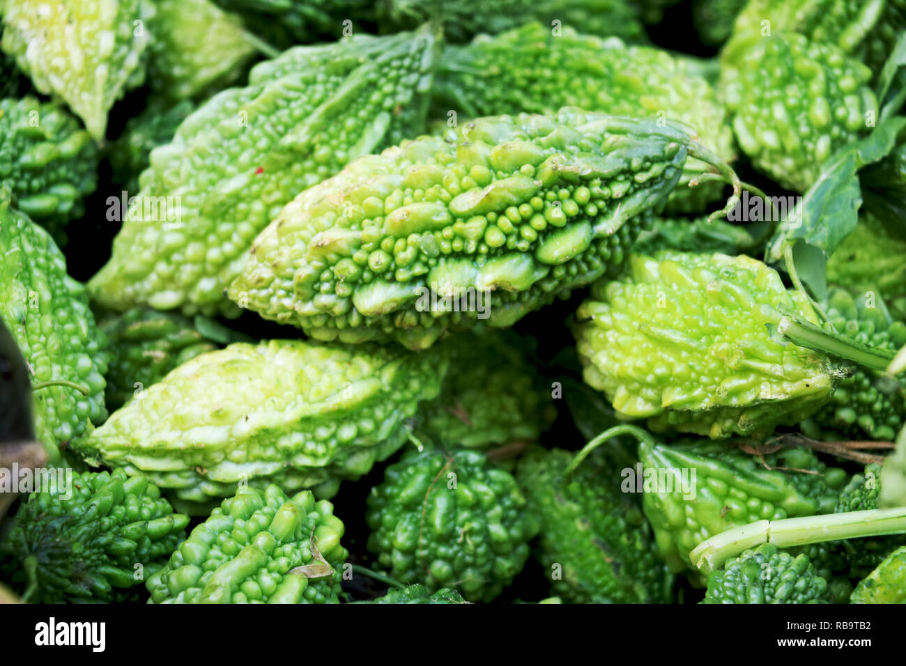 Bitter Gourd vegetables are good sources of nutrition that may help ...