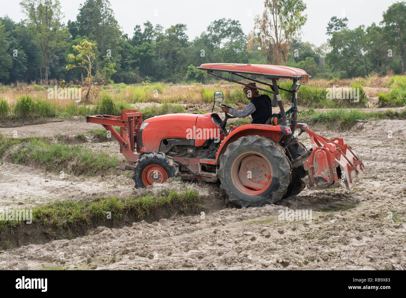 Thai farmers are using a tractor to prepare the soil for growing rice ...