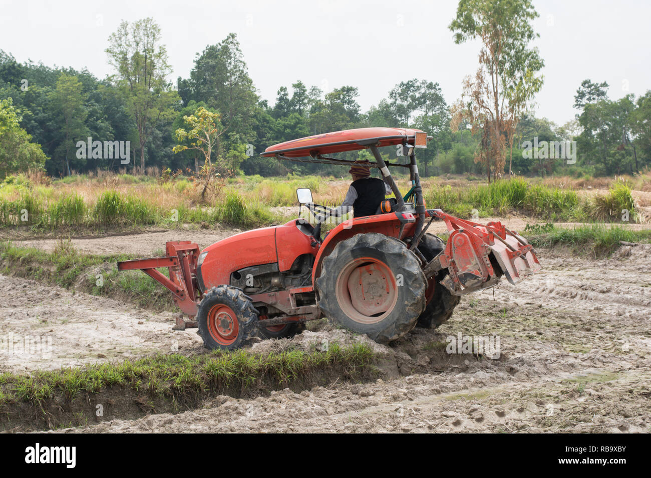 Farmer plants rice using a tractor hi-res stock photography and images ...