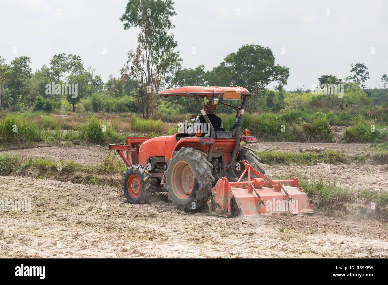 Farmer plants rice using a tractor hi-res stock photography and images ...