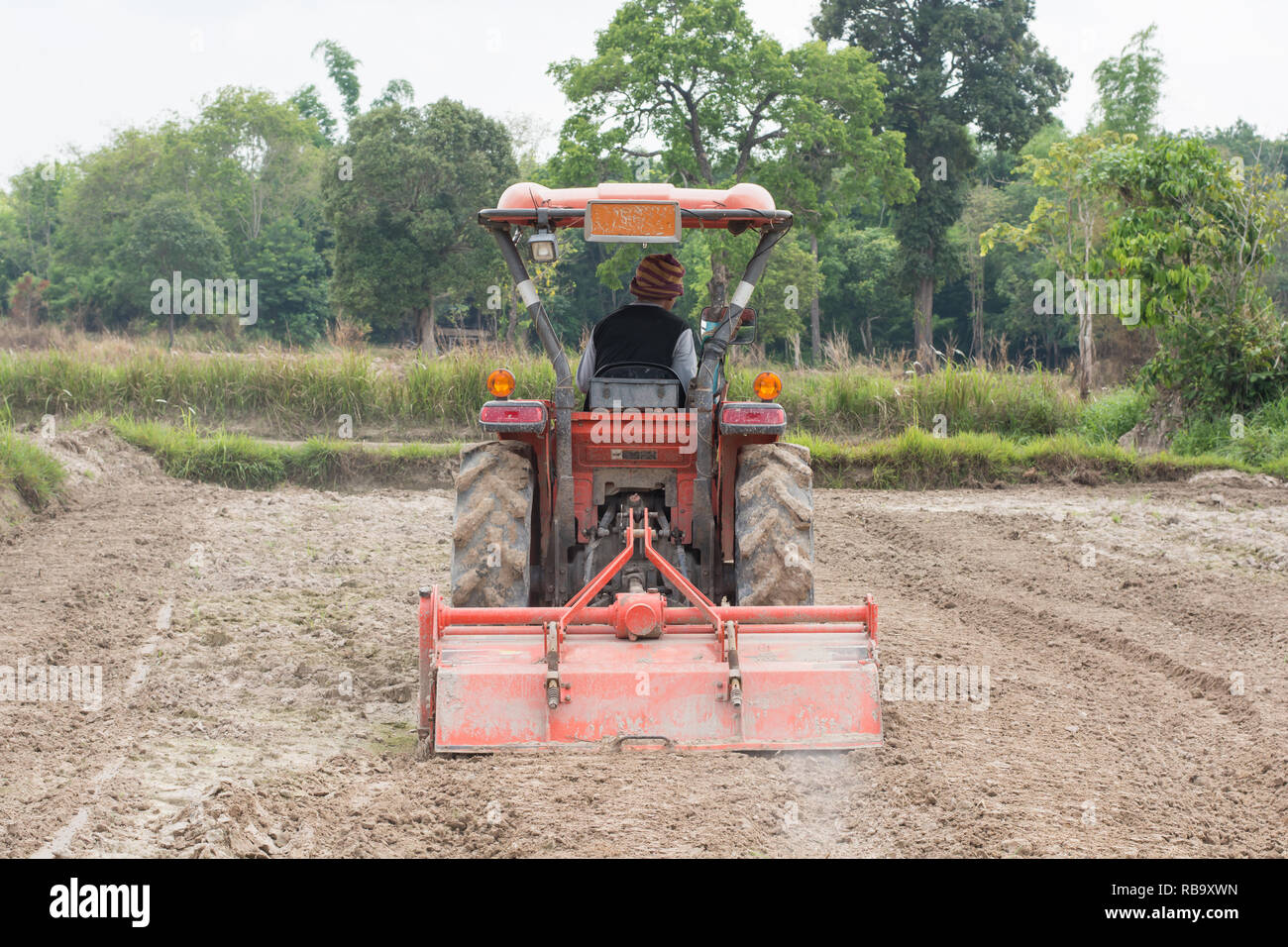 Farmer plants rice using a tractor hi-res stock photography and images ...