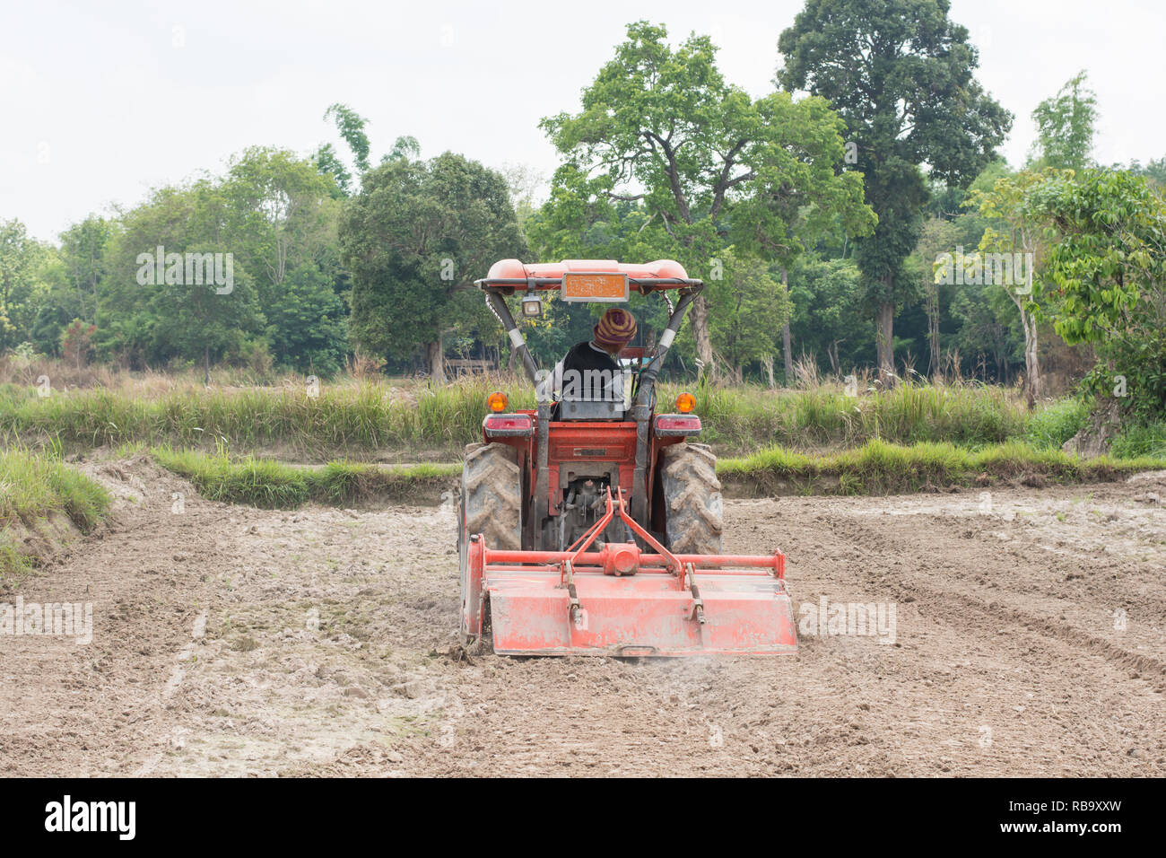 Farmer plants rice using a tractor hi-res stock photography and images ...