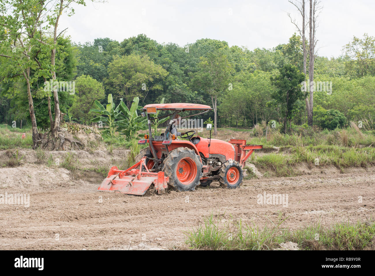Farmer plants rice using a tractor hi-res stock photography and images ...