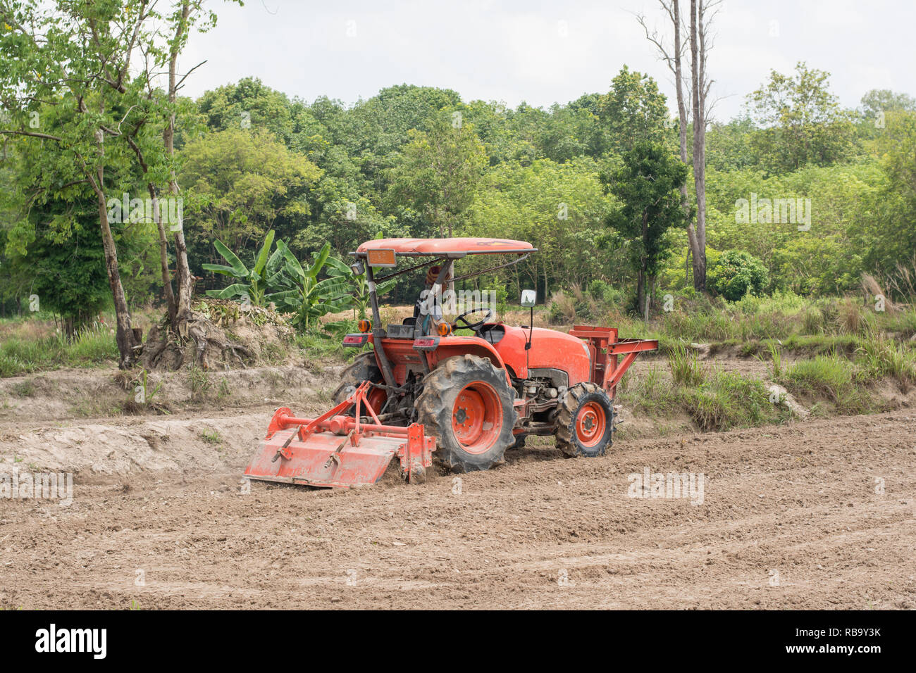 Farmer plants rice using a tractor hi-res stock photography and images ...