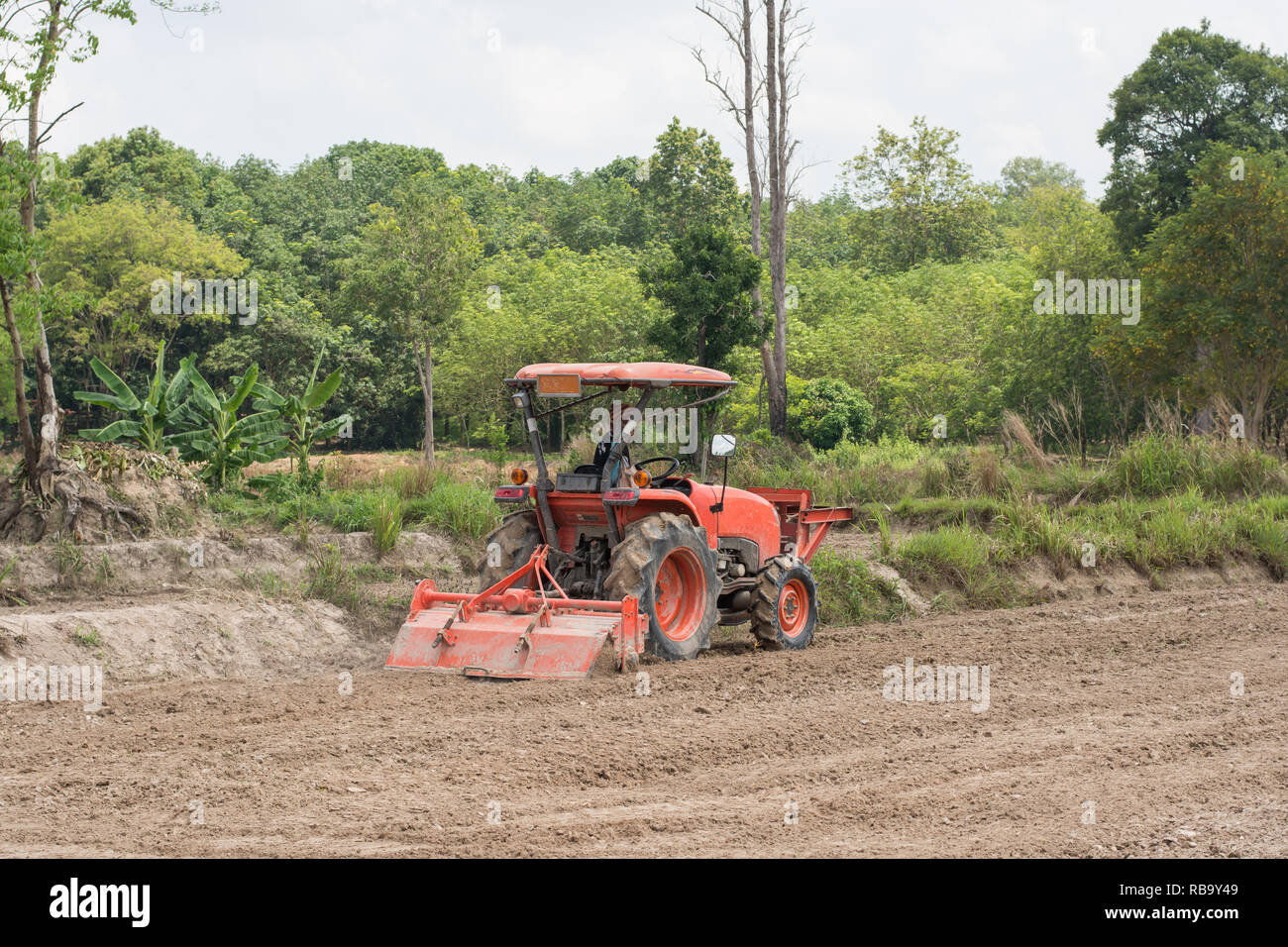 Farmer plants rice using a tractor hi-res stock photography and images ...