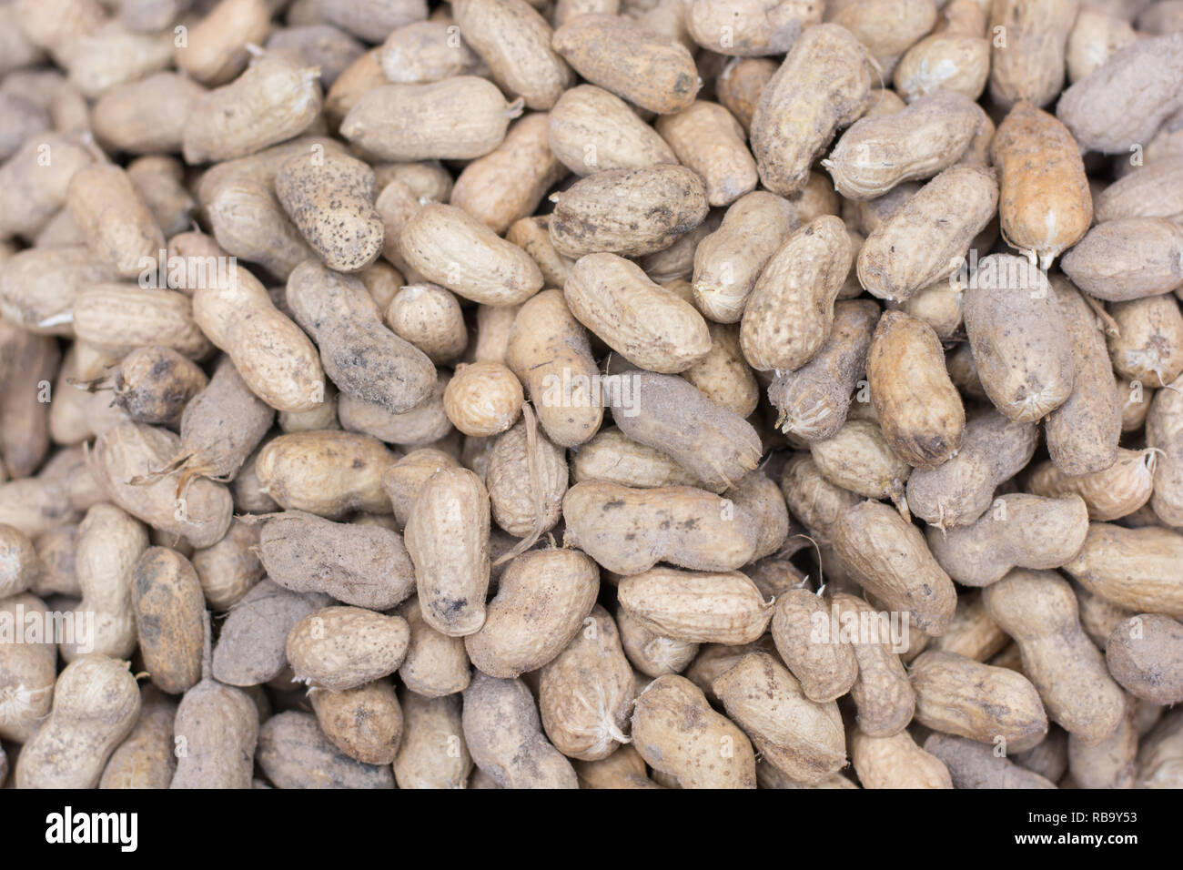 Peanuts in shell texture background. Raw peanuts on display Stock Photo ...