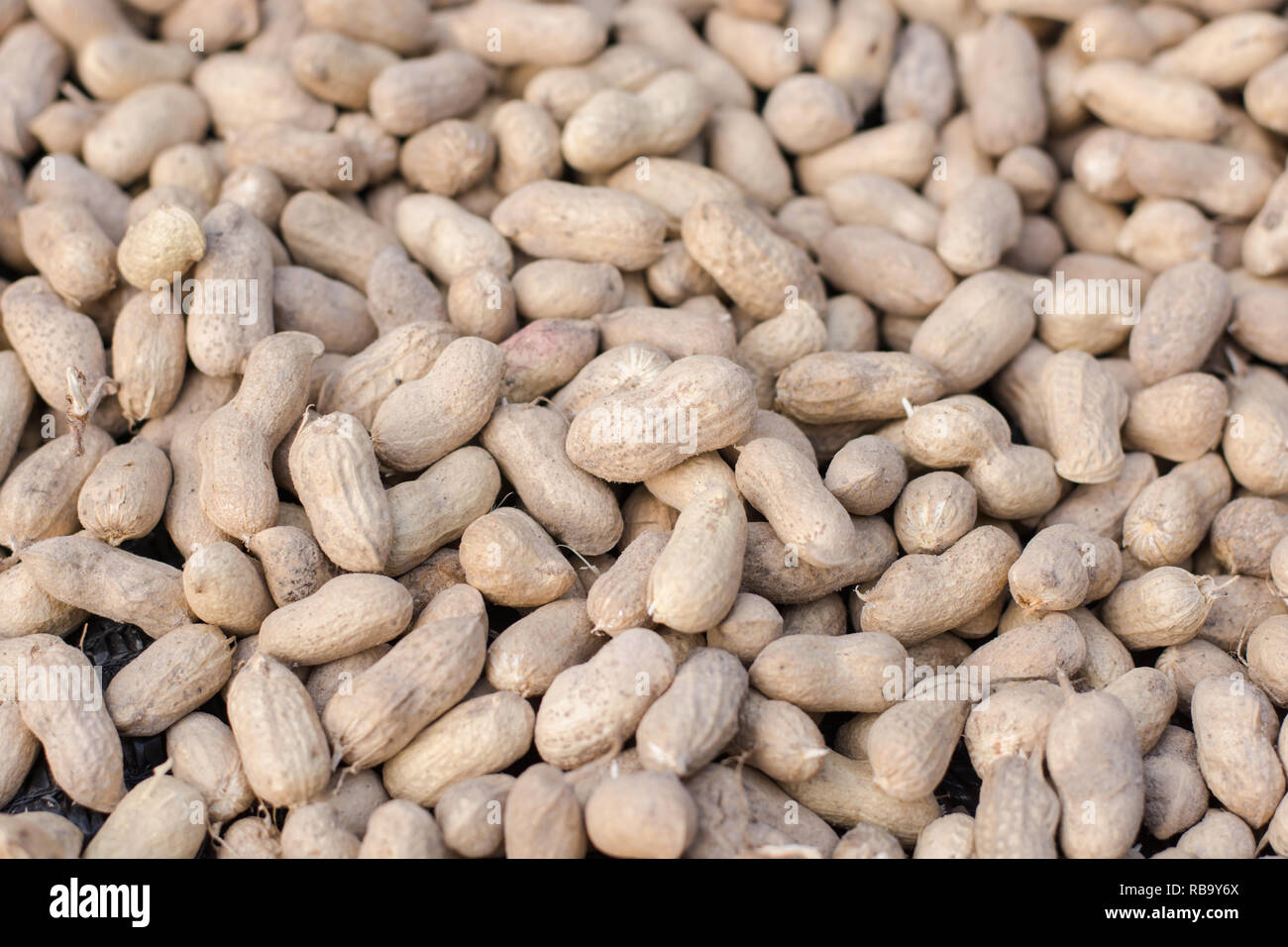 Peanuts in shell texture background. Raw peanuts on display Stock Photo ...