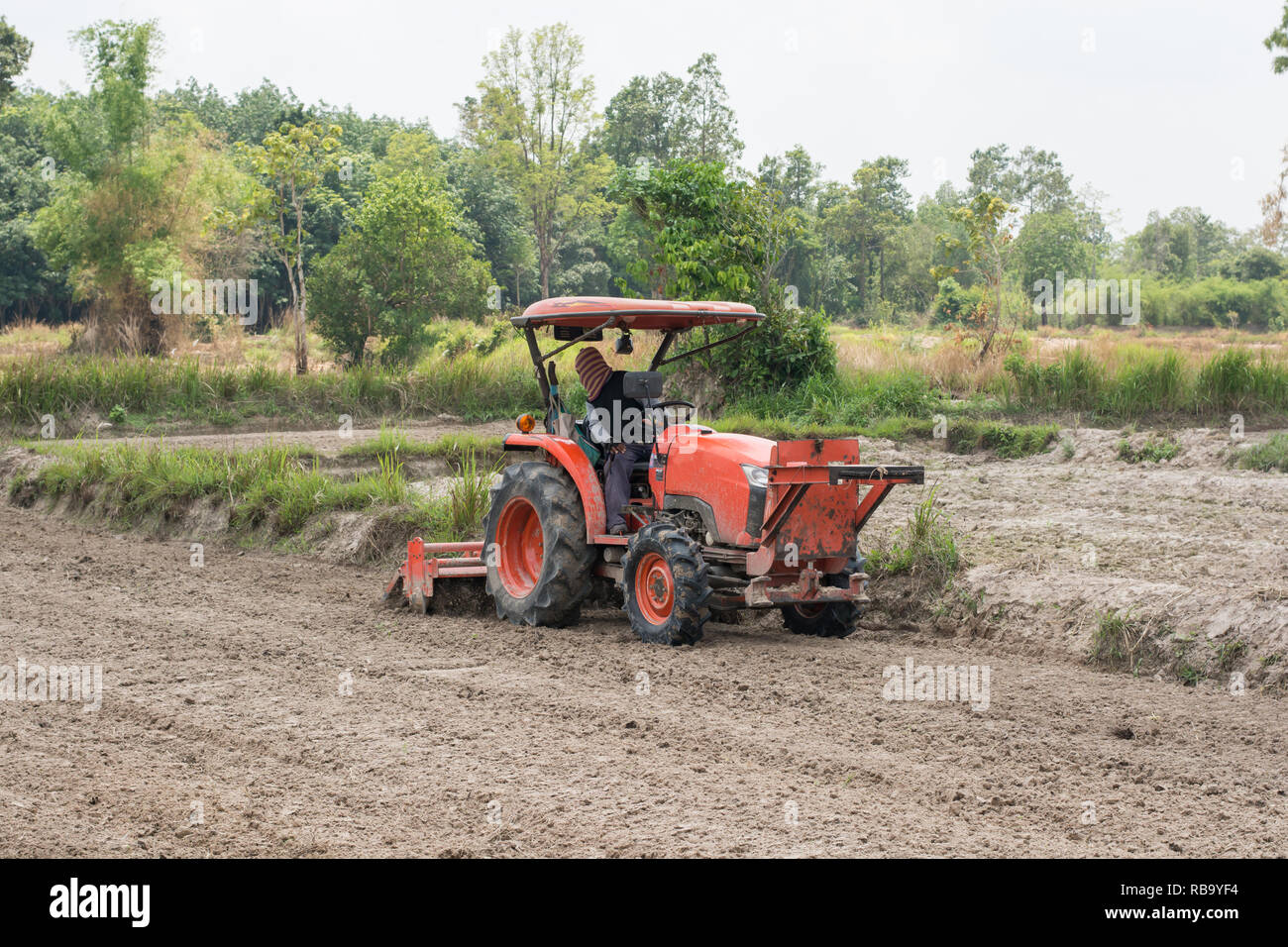 Thai farmers are using a tractor to prepare the soil for growing rice ...