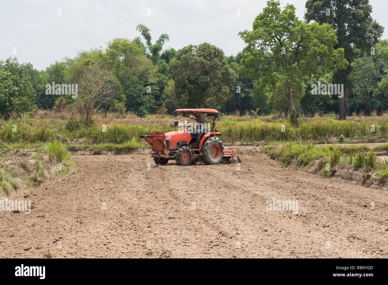 Thai farmers are using a tractor to prepare the soil for growing rice ...