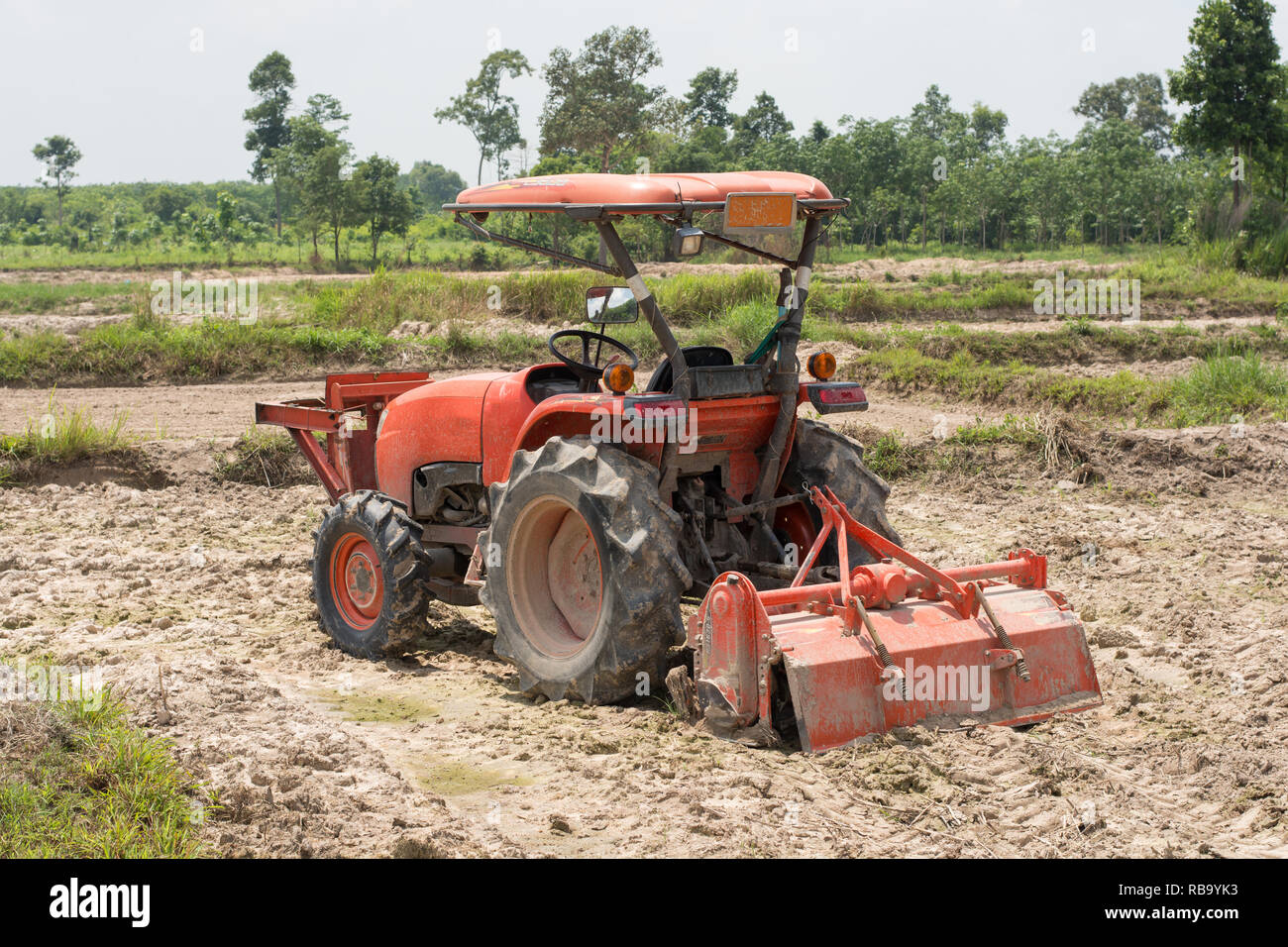 Thai farmers are using a tractor to prepare the soil for growing rice ...