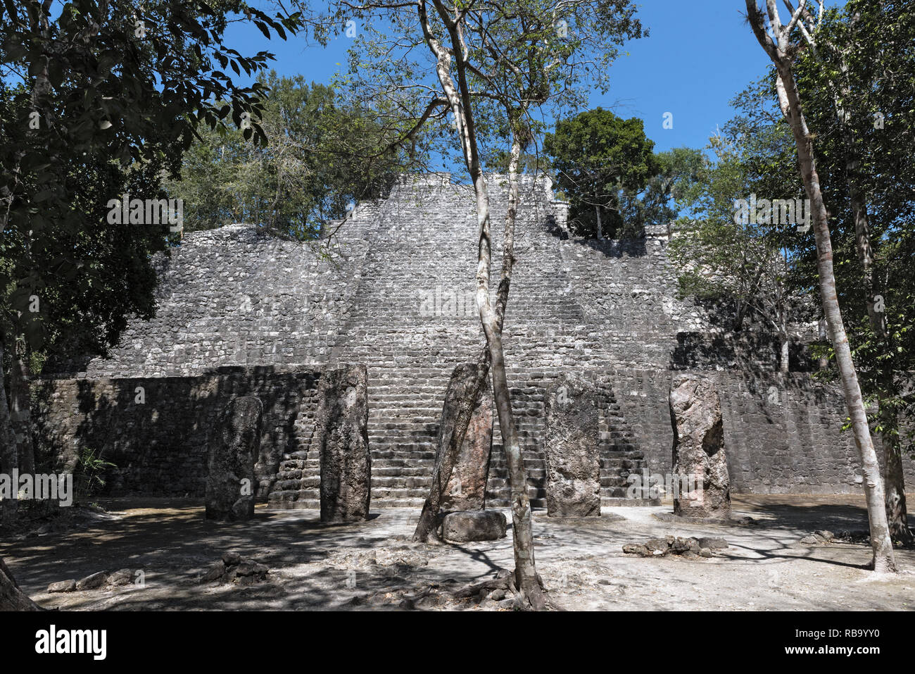 the ruins of the ancient mayan city of calakmul, campeche, mexico Stock ...