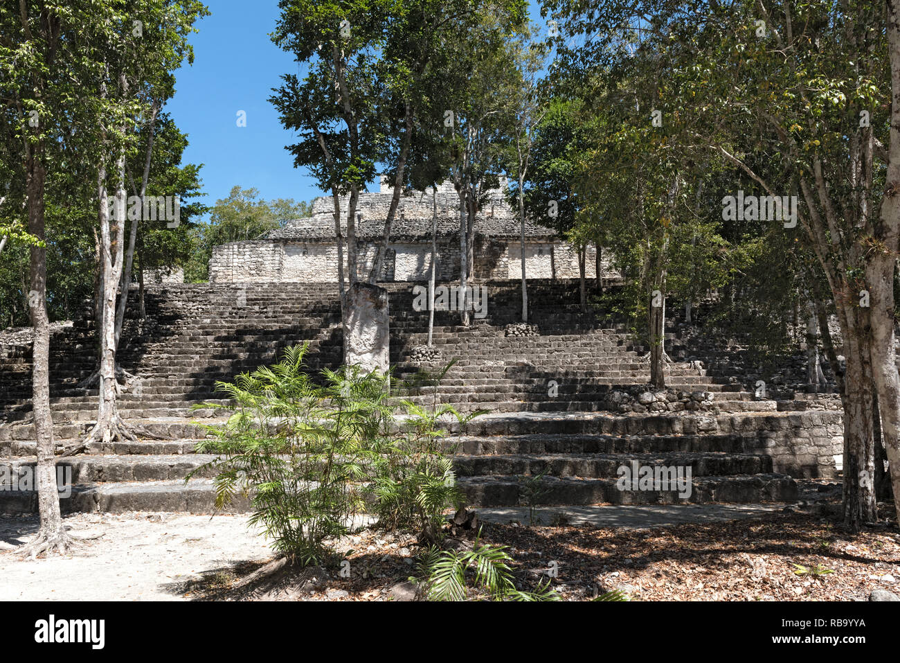 the ruins of the ancient mayan city of calakmul, campeche, mexico Stock ...