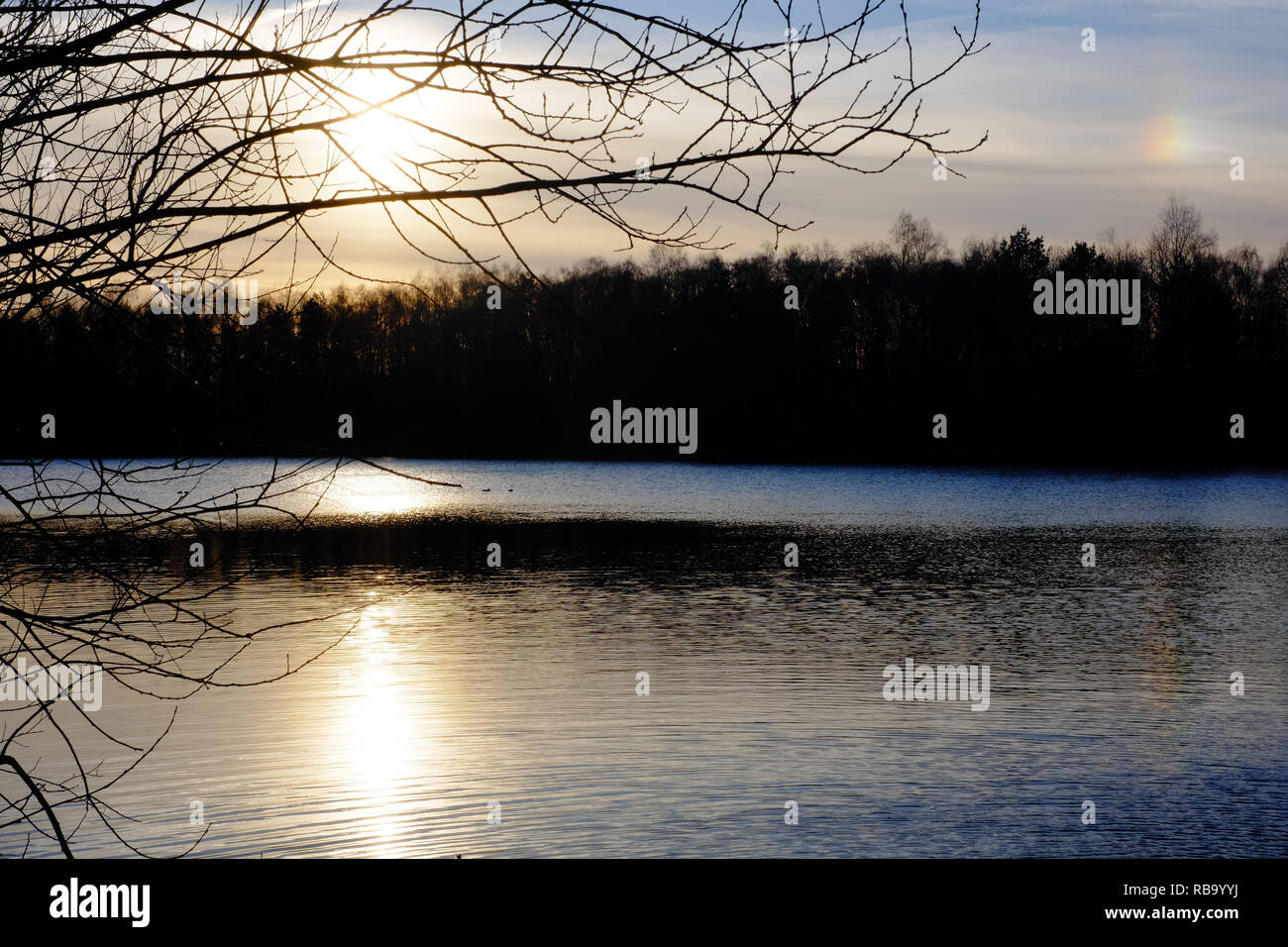 Beautiful lake and forest during sunset Stock Photo - Alamy