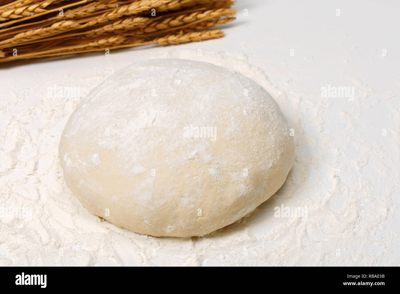 Raw fresh dough in the flour and ears of wheat on a white background ...