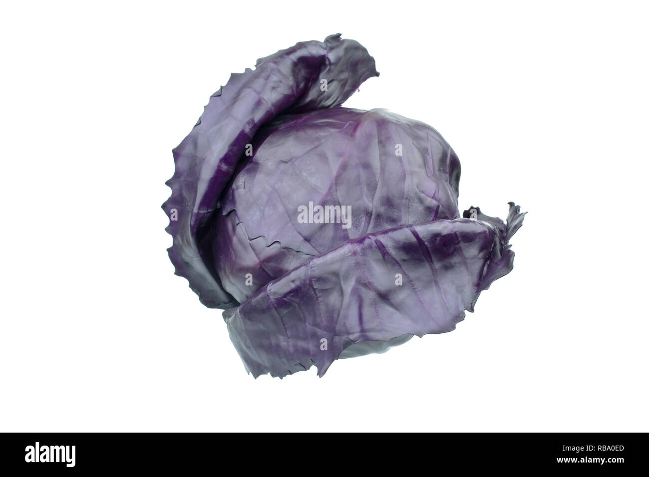 Purple cabbage isolated on white background Stock Photo - Alamy