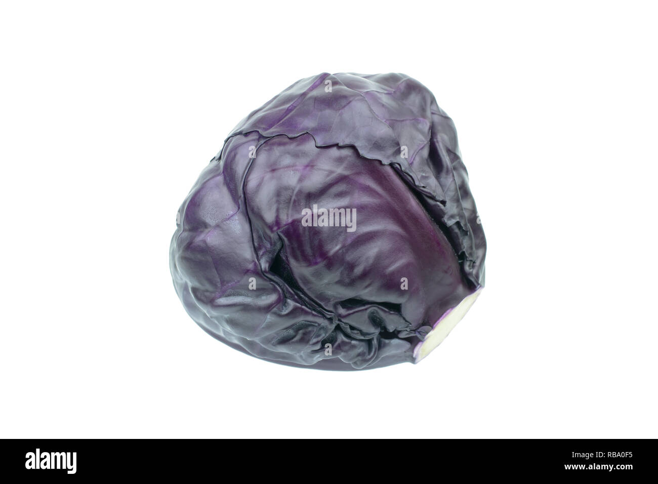 Purple cabbage isolated on white background Stock Photo - Alamy