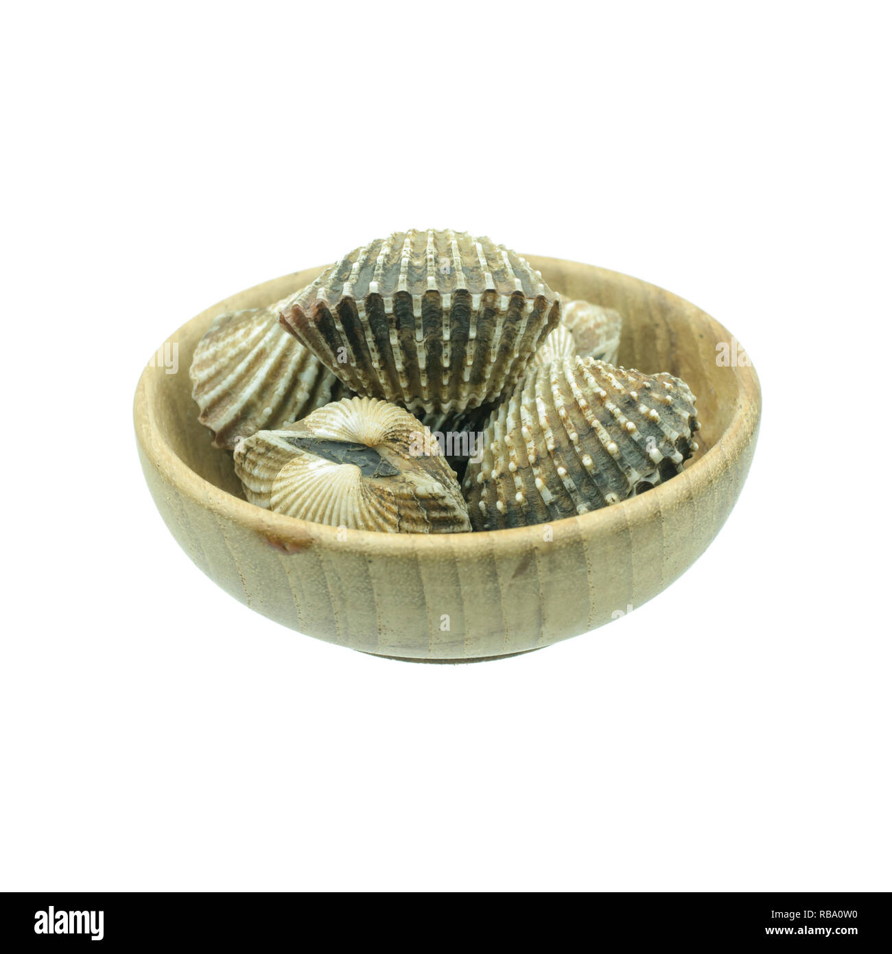 raw blood cockle isolated on white background Stock Photo - Alamy