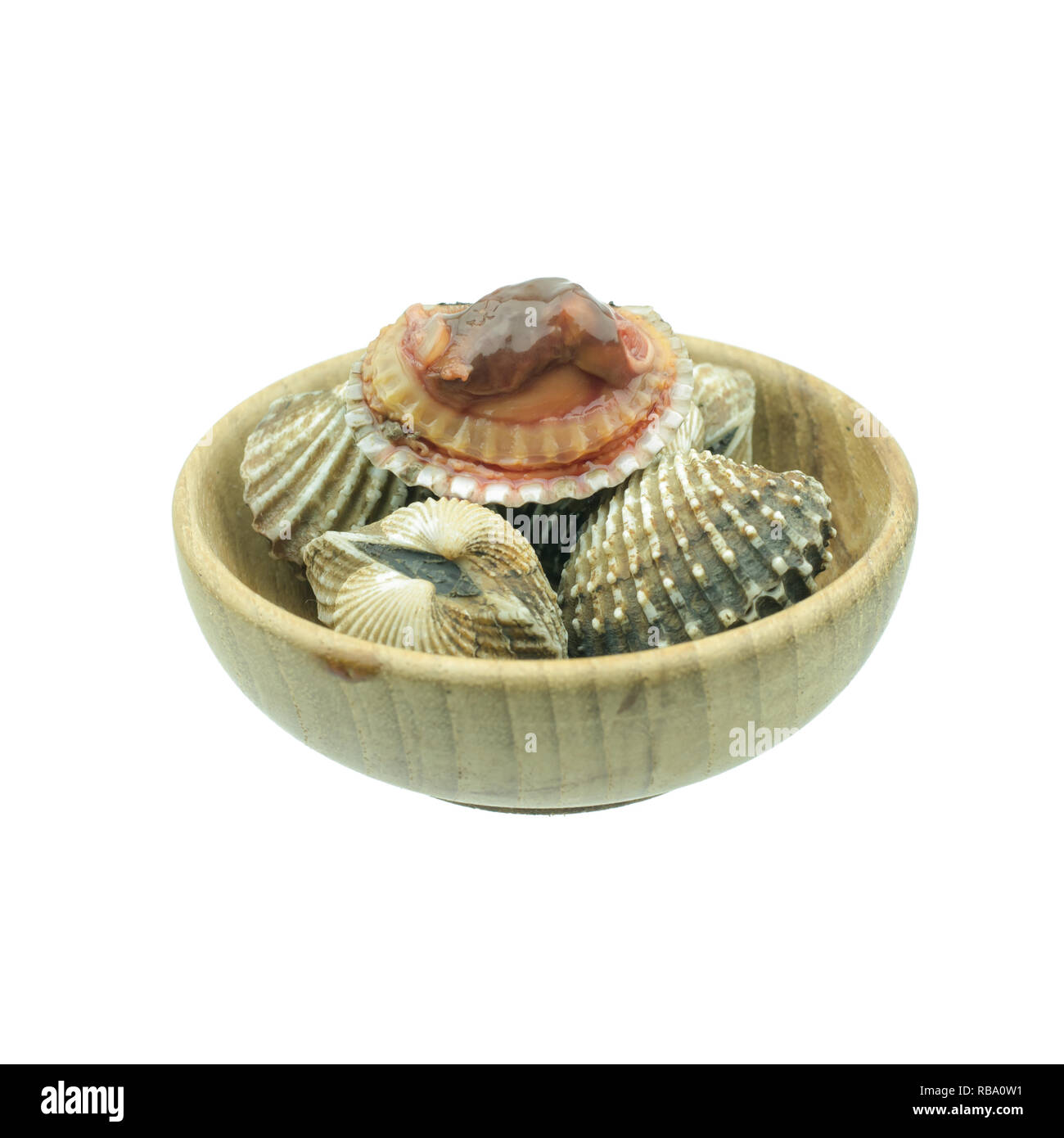 raw blood cockle isolated on white background Stock Photo - Alamy