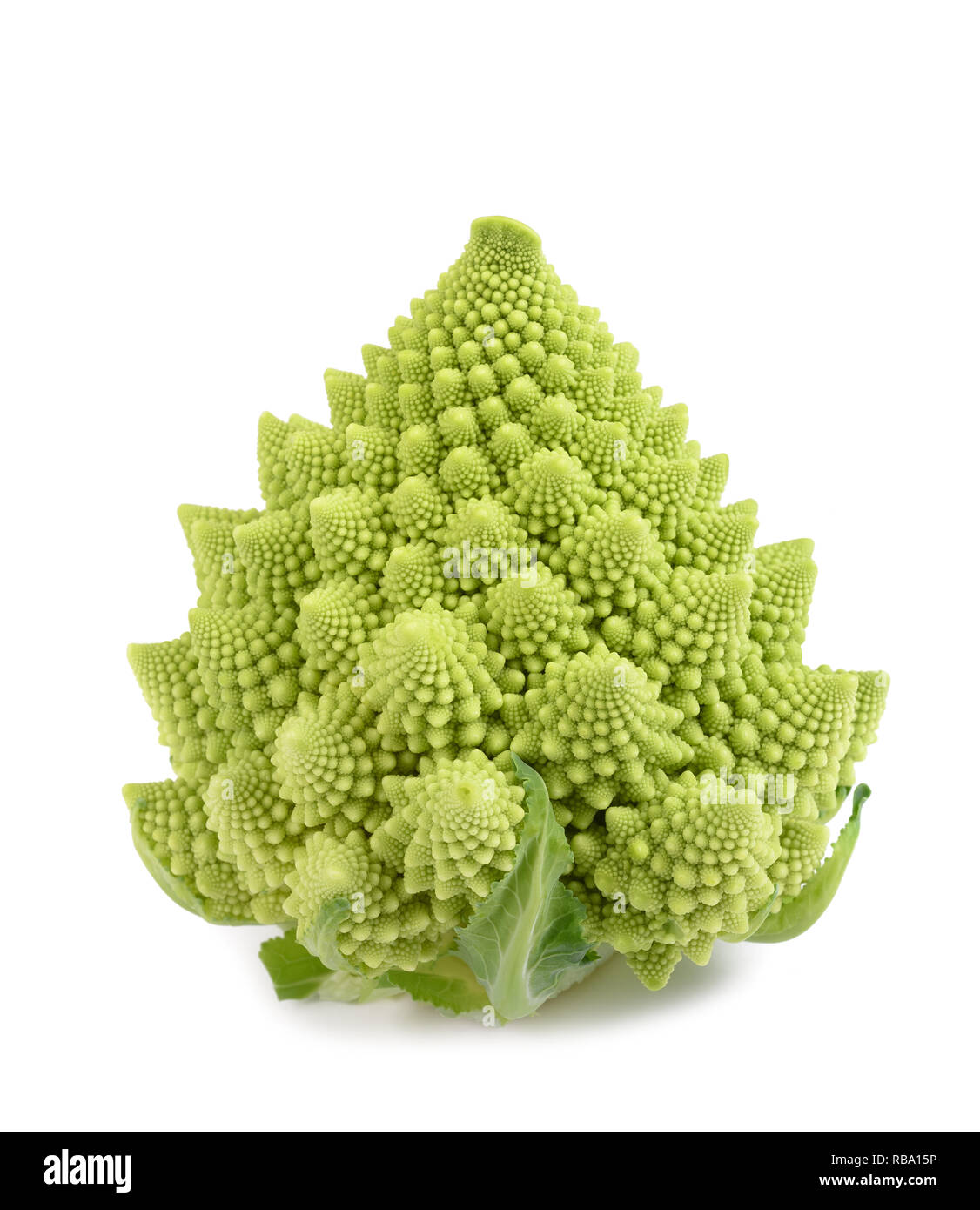 Romanesque cauliflower isolated on white background Stock Photo - Alamy
