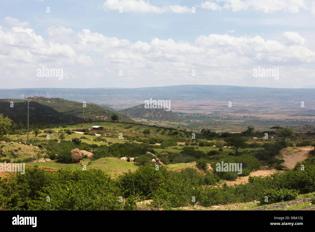 Harar ethiopia hi-res stock photography and images - Alamy